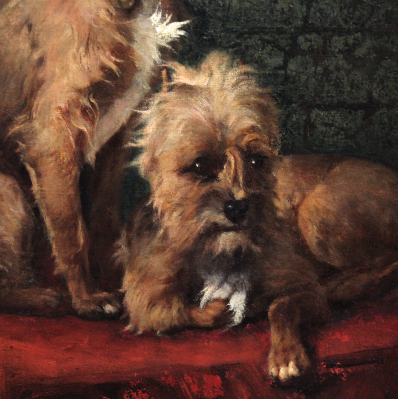 Lovely antique oil on canvas of two little dogs , Frech school 19th